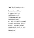 In conversation with Suhaib Rumi – Whimsical Connotations