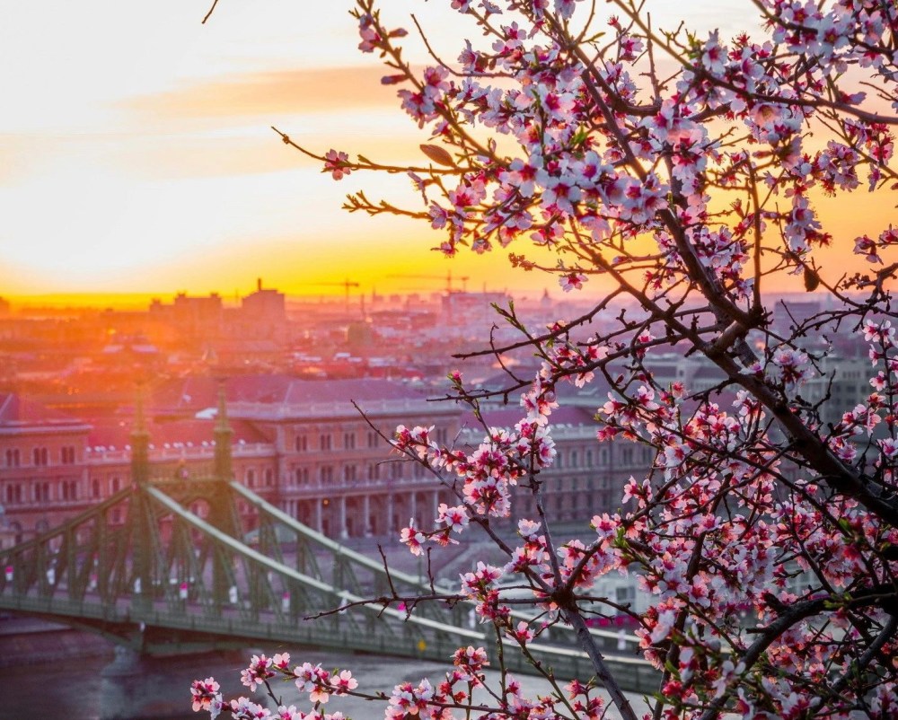 The Ultimate Guide to Visiting Budapest in Spring: What to See, Do, and ...