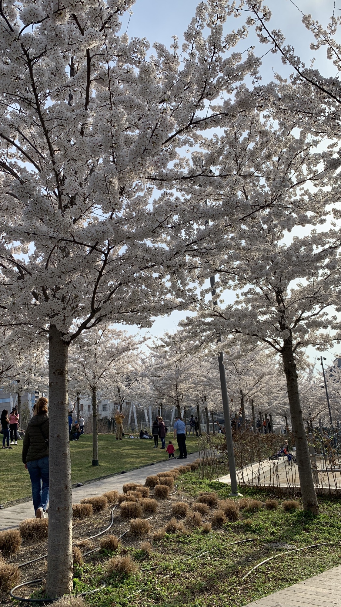 The Ultimate Guide to Visiting Budapest in Spring: What to See, Do, and ...