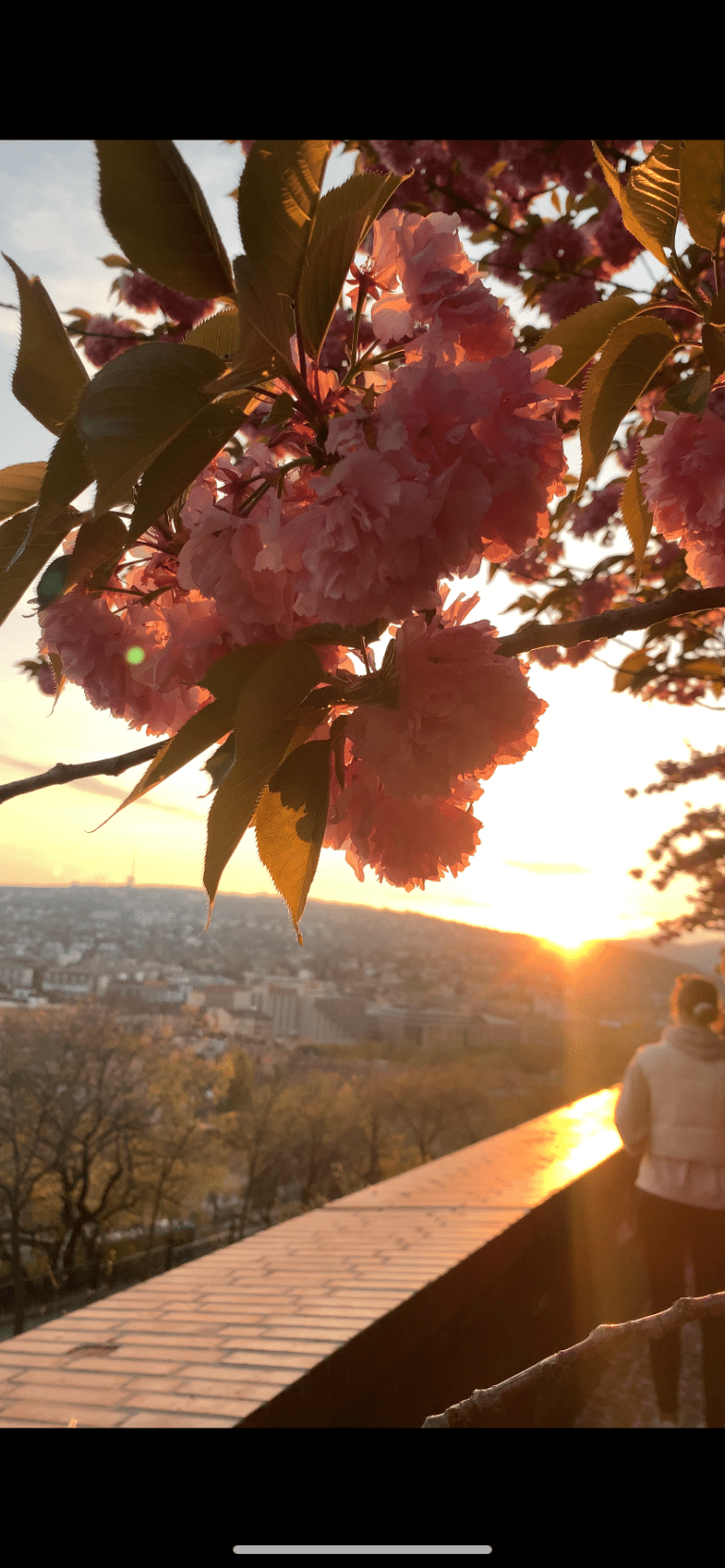 The Ultimate Guide to Visiting Budapest in Spring: What to See, Do, and ...