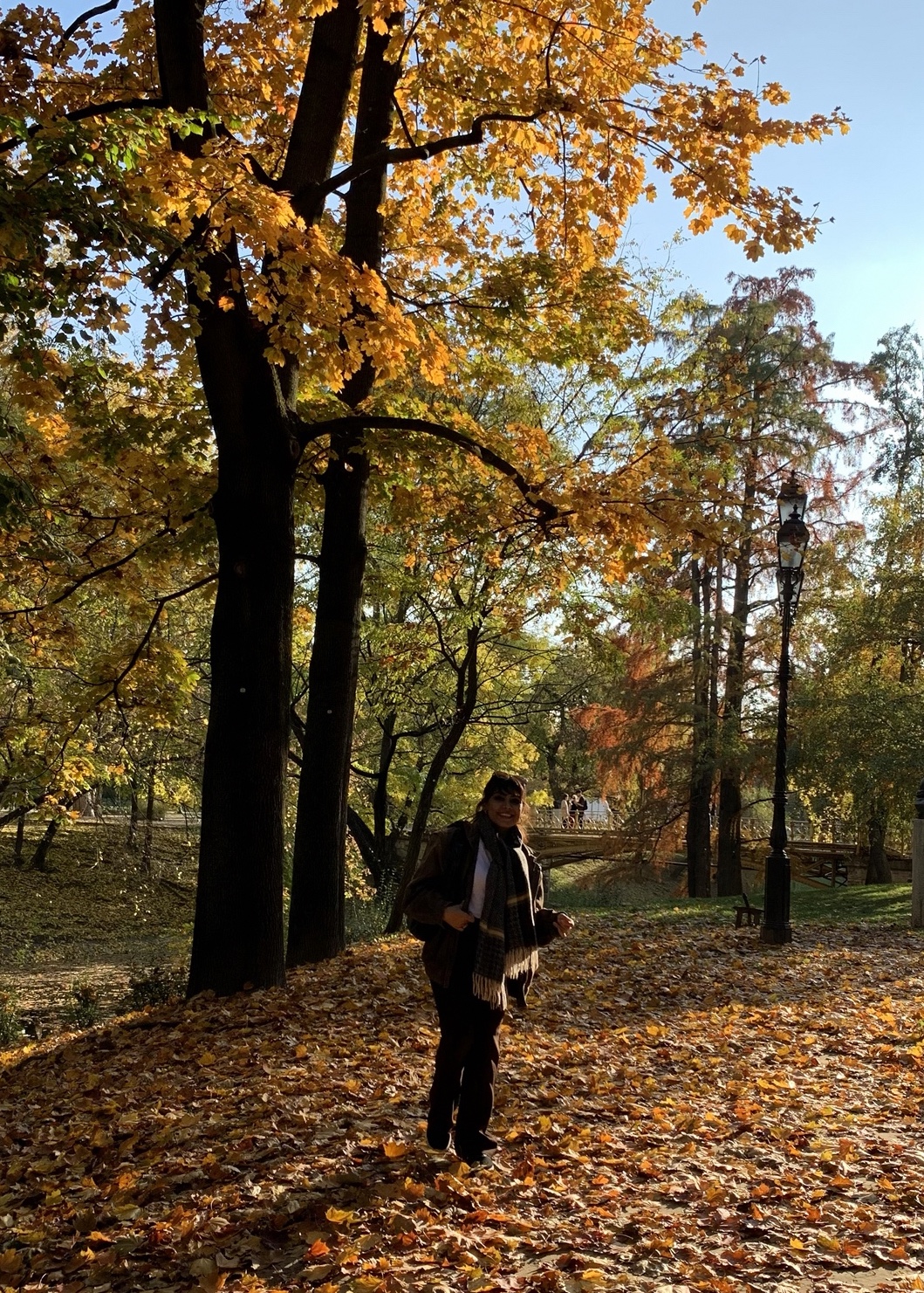 Autumn in Budapest : Photo Journal – Whimsical Connotations